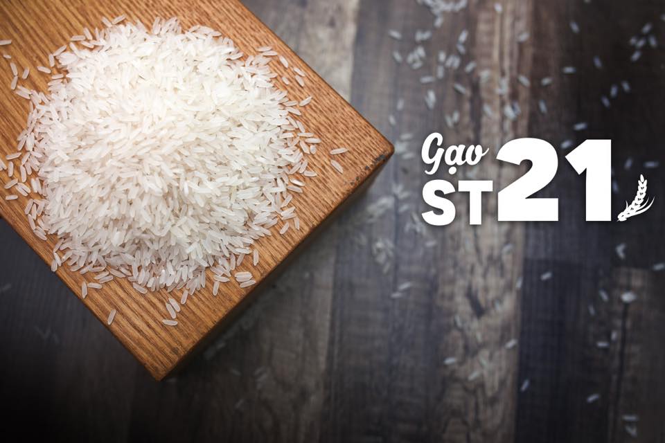 Gạo ST21 - Hiệp Tài